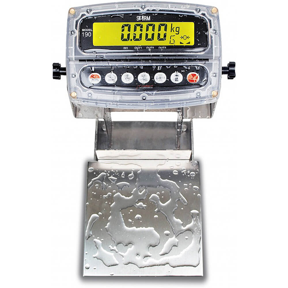 Stainless Steel, Waterproof Platform Scale, Digital, 120 Lb. | CA12-120 ...