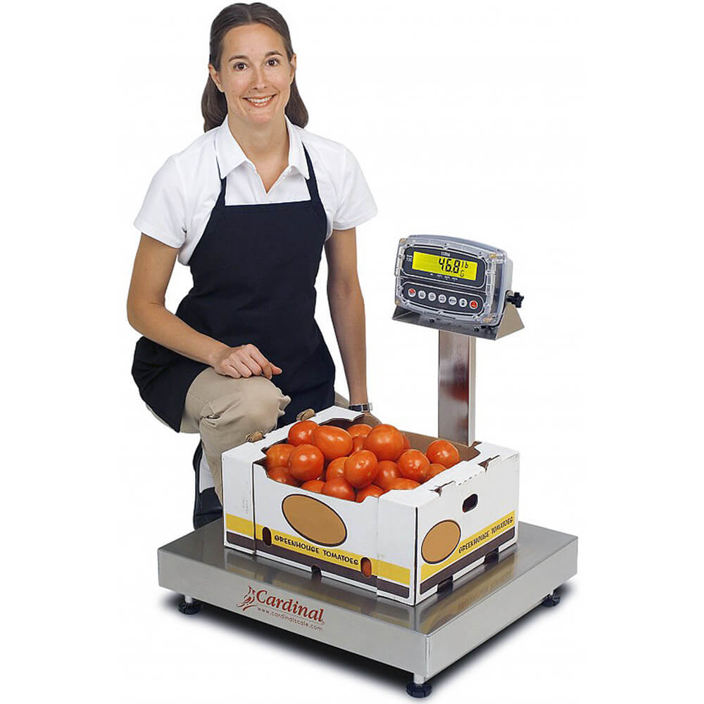 Stainless Steel, Bench Scale, Electronic, 300 Lb. W/ 190 Digital Weight ...